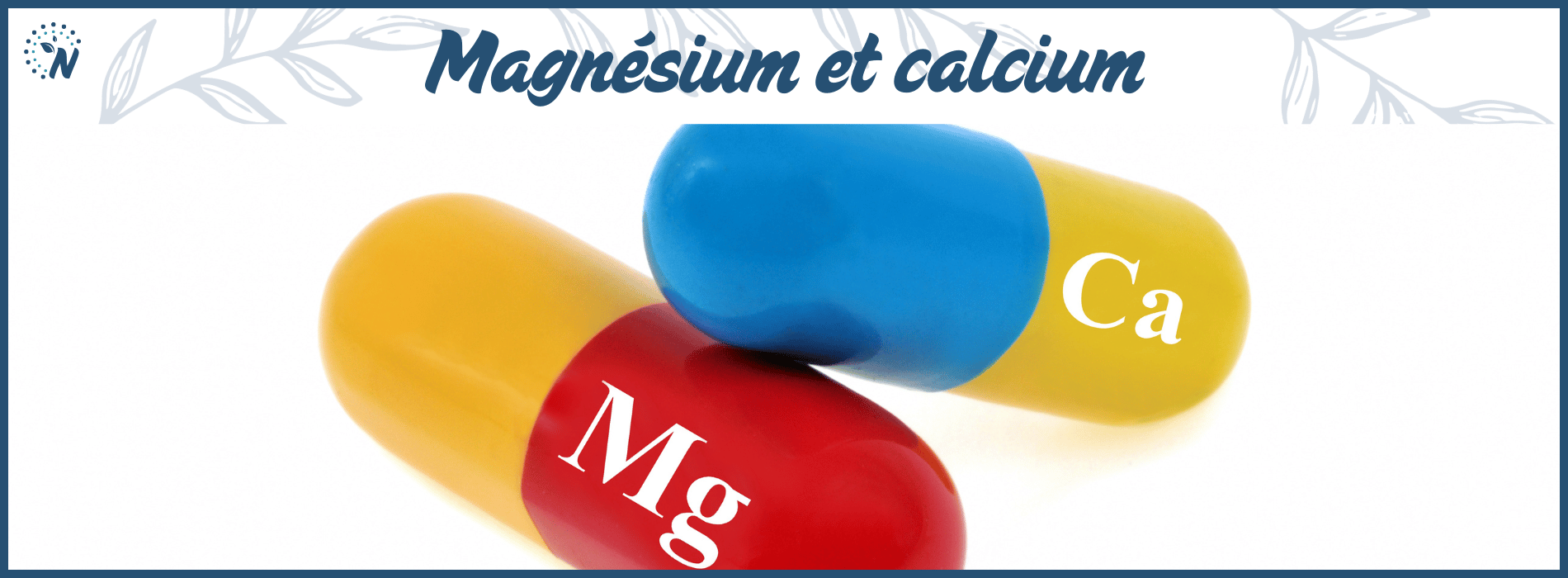 Magnésium et calcium : optimisez leur prise | Nutrioxy